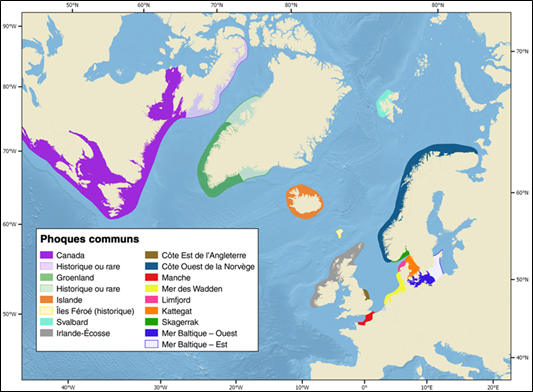 La chasse au phoque au Canada
